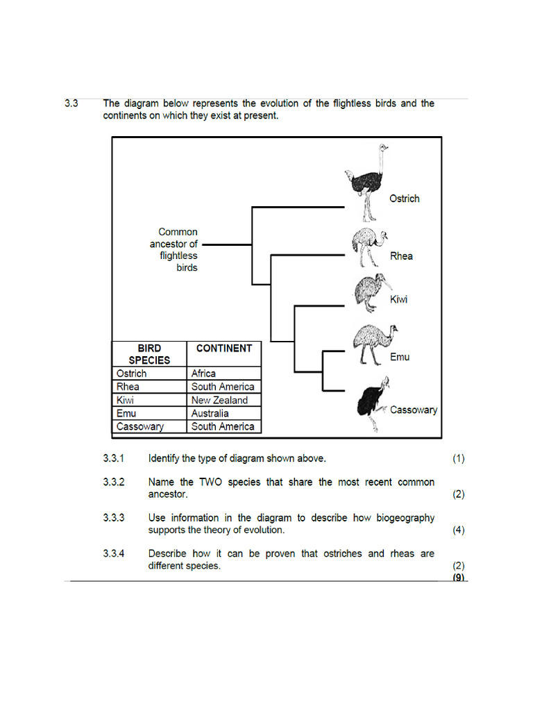 Activities Evolution | PDF