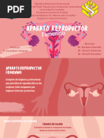 Partes de la Salpinge y Anatomía Asociada | PDF | Ovario | Pelvis