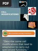 SHS STEM Bio1 Q1 Week 3 Module 5 - Cell Modification | PDF | Small ...
