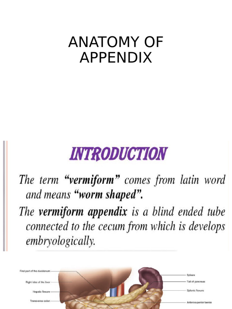 Appendix Slide 1 | PDF
