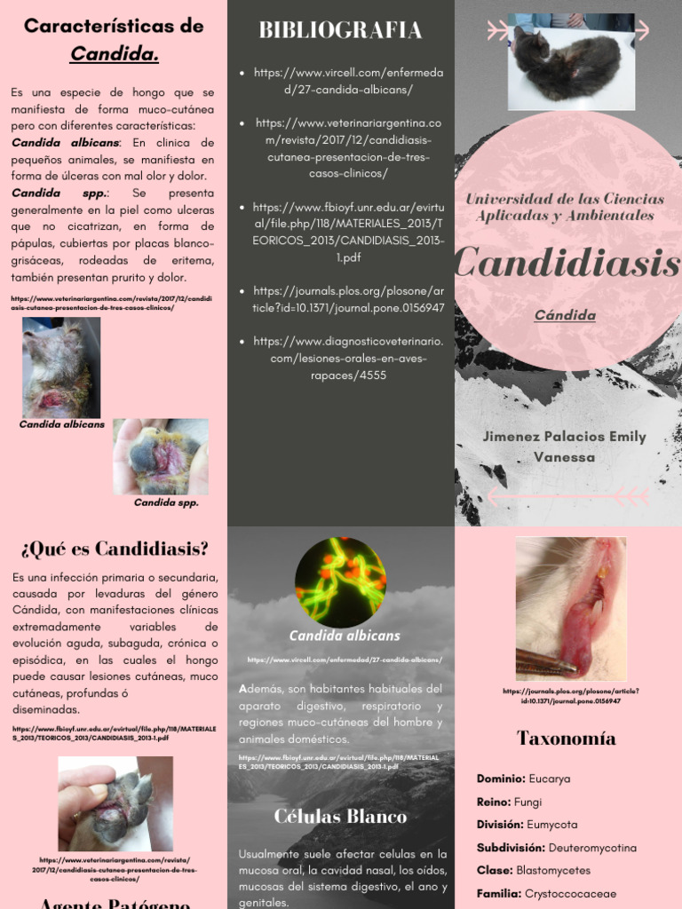 Candidiasis: Características y Tipos | PDF | Candidiasis | Candida (hongo)