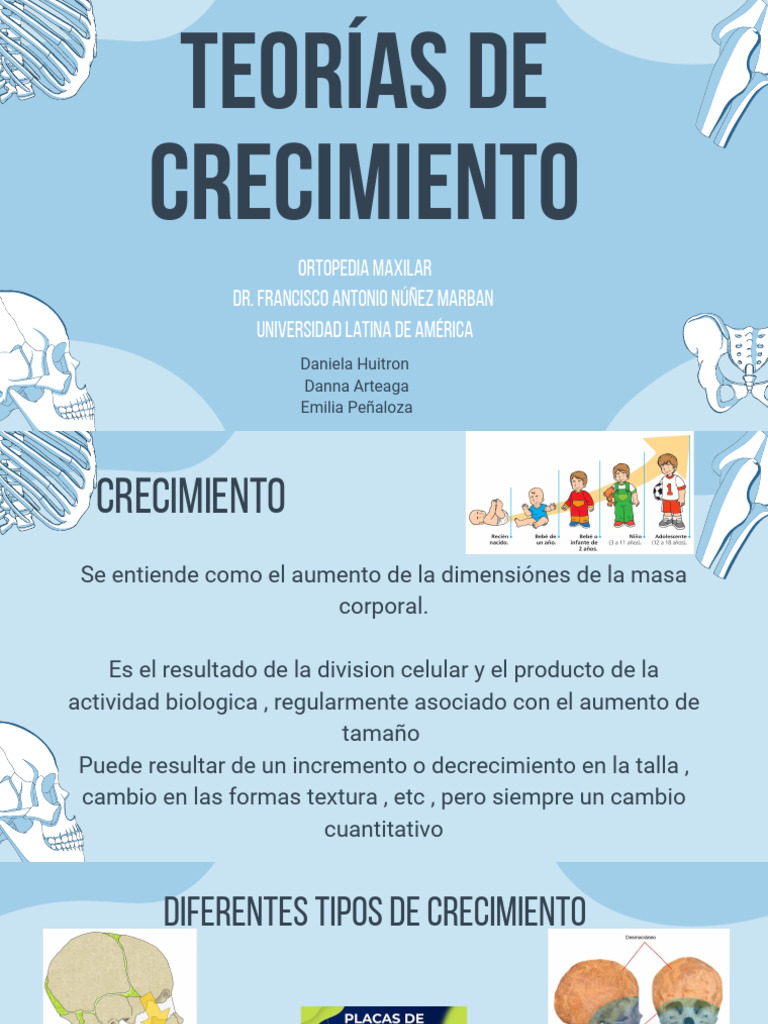 Presentación Diapositivas Anatomía Cuerpo Humano Ilustrativo Simple ...