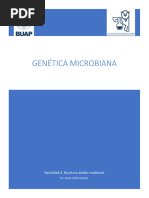 EMBOSS Needle Pairwise Alignment Results | PDF