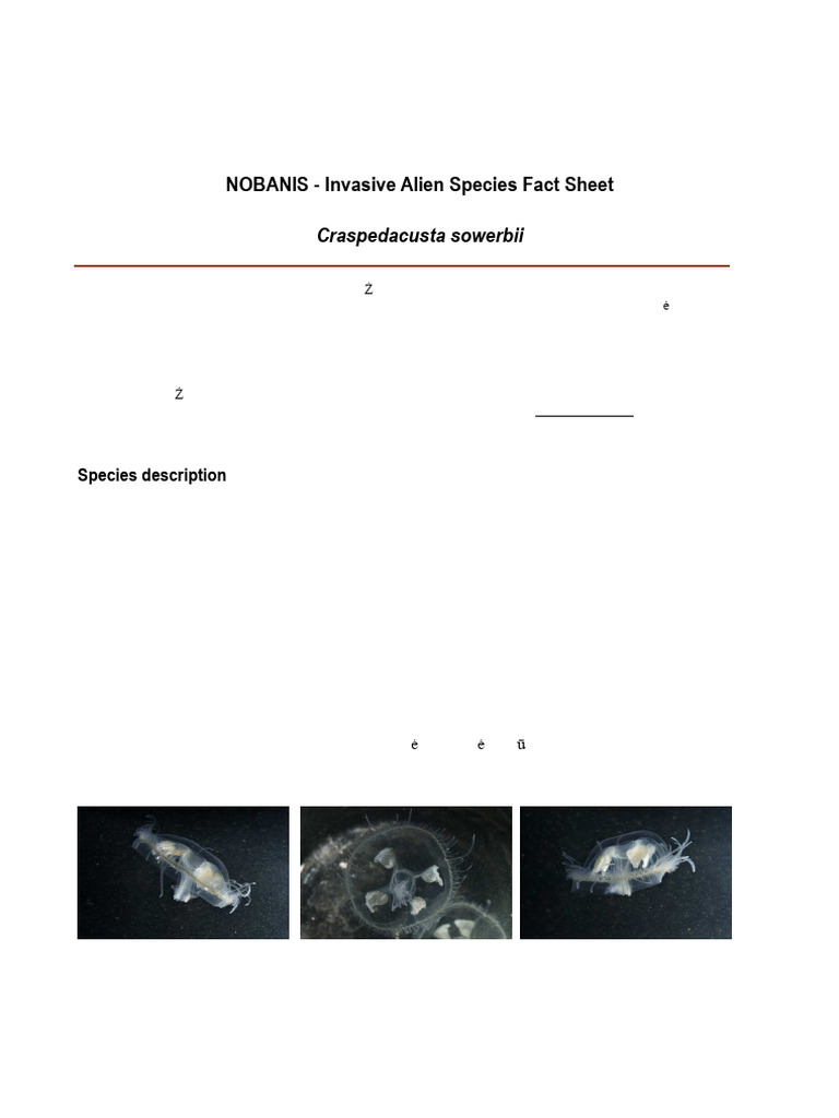 NOBANIS Invasive Alien Species Fact Sheet Craspedacusta Sowerbii | PDF ...