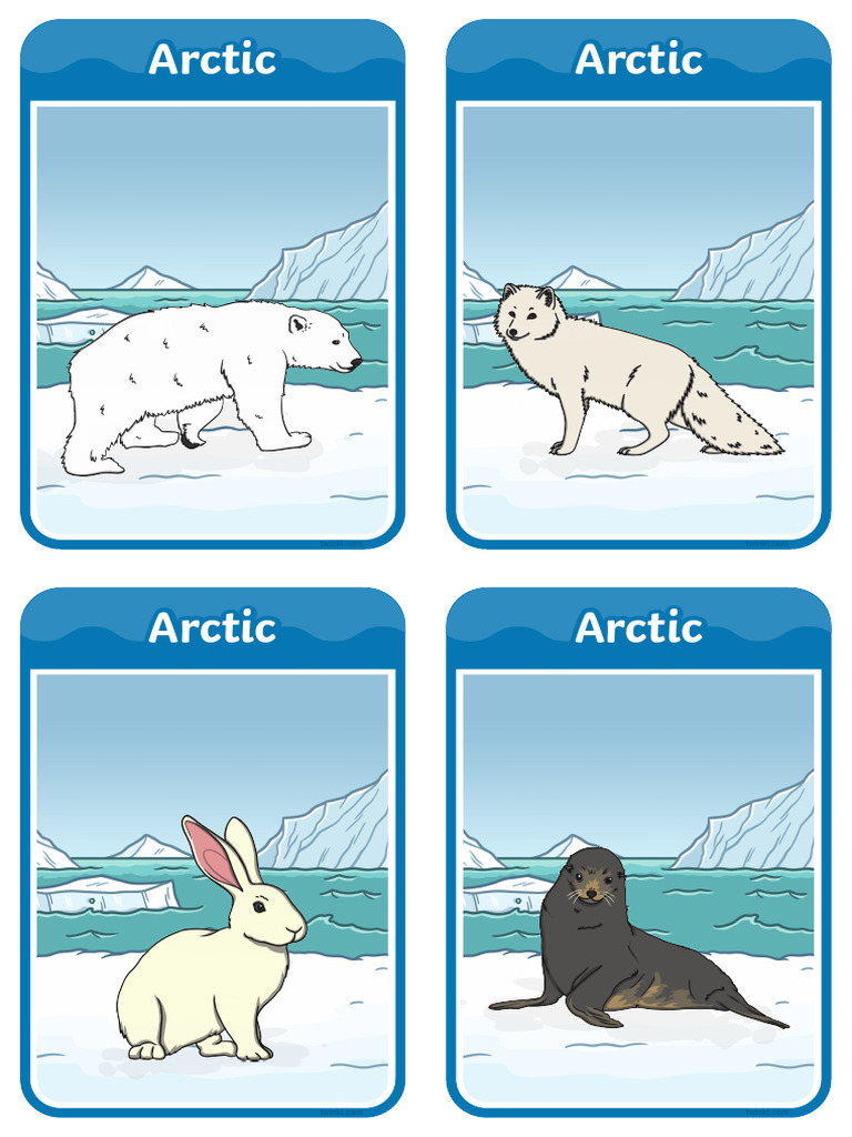 T TP 1708077199 Animal Habitats Flashcards - Ver - 1 | PDF