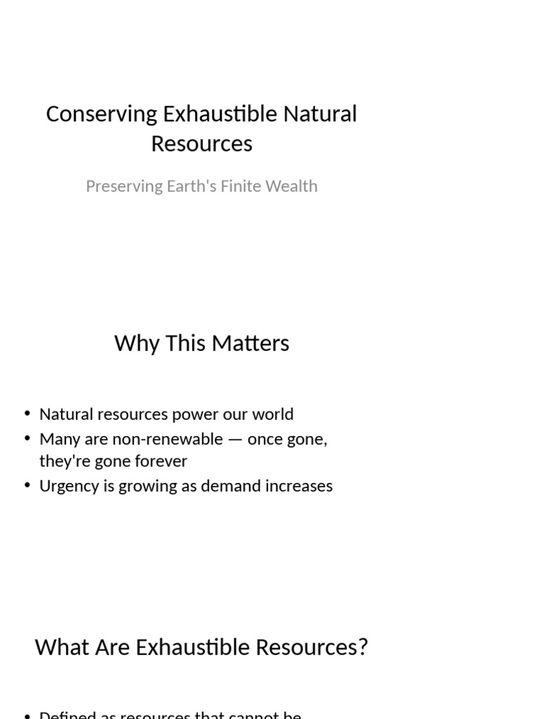 Conserving Exhaustible Natural Resources | PDF