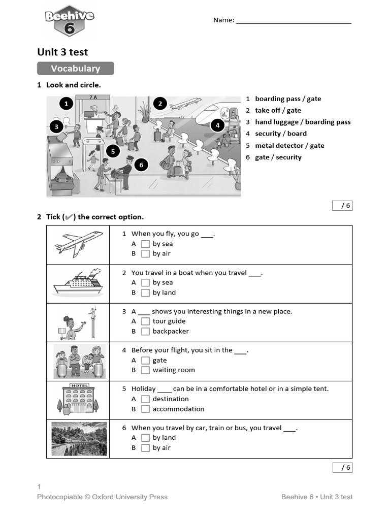 Beehive - Tests - Level 6 - Unit Test 3 | PDF