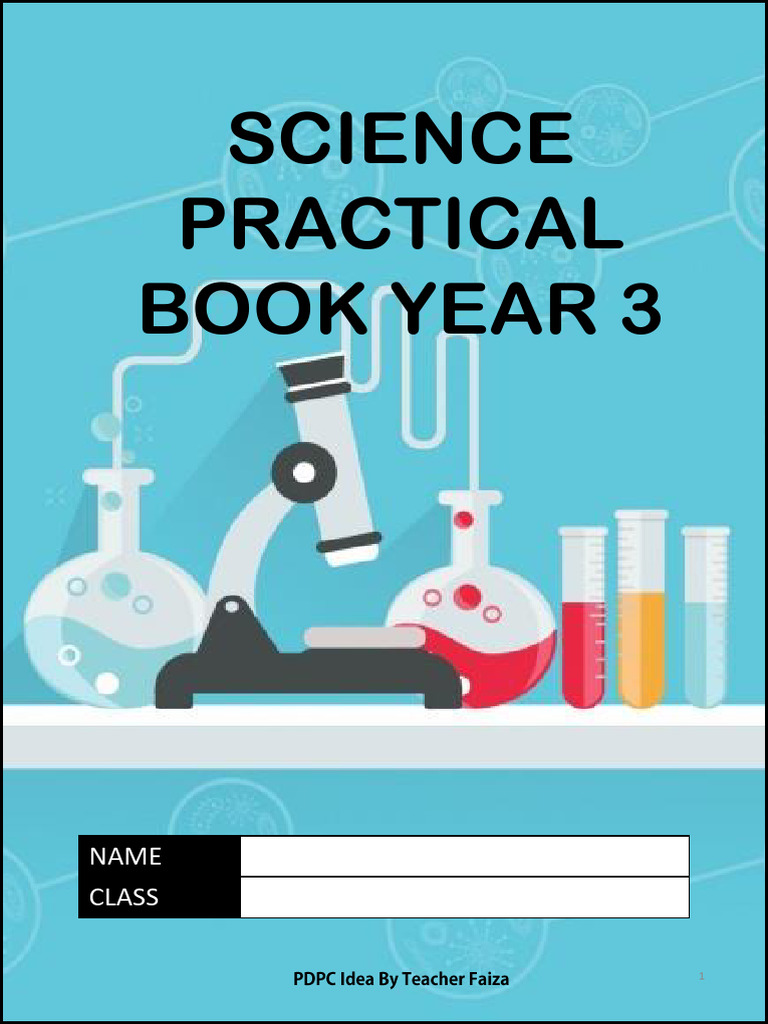 Year 3 Science Practical Activities | PDF | Tooth | Digestion