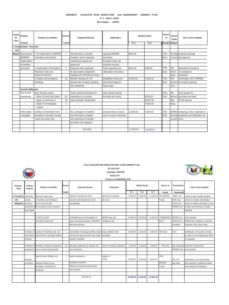 BDRRM Final 2023 25 | PDF | Emergency Management | Emergency Evacuation