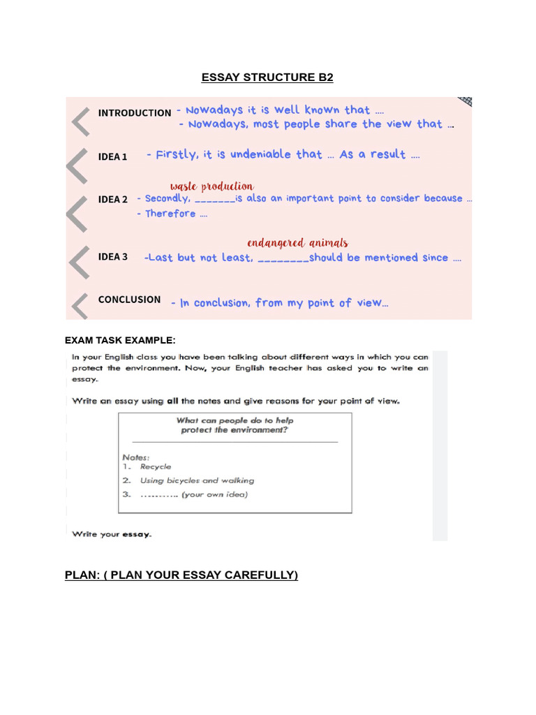 Essay B2 | PDF