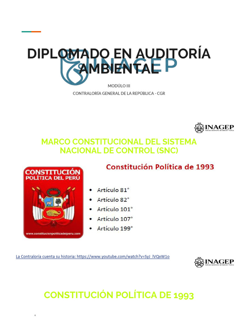 Módulo III - TEMA 2,3 y 4 | PDF | Auditoría | Contralor