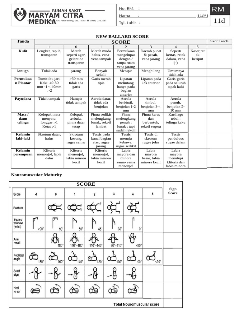 11d Ballard Score | PDF