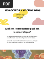 Celulas Dendriticas y Macrofagos | PDF | Célula dendrítica | Linfocitos