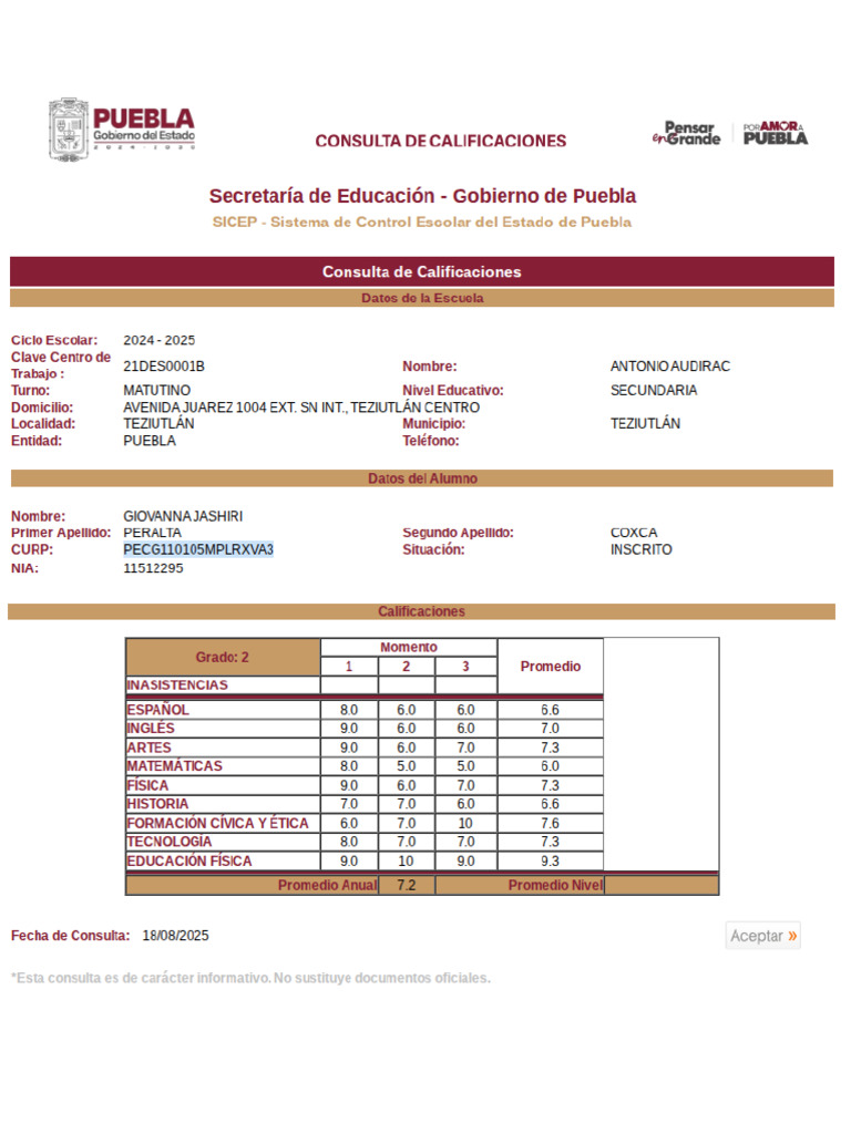 Boleta Formato Original | PDF