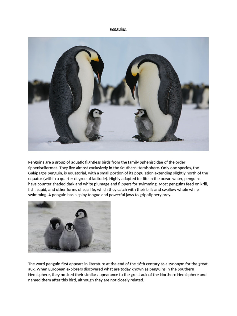 Penguins | PDF
