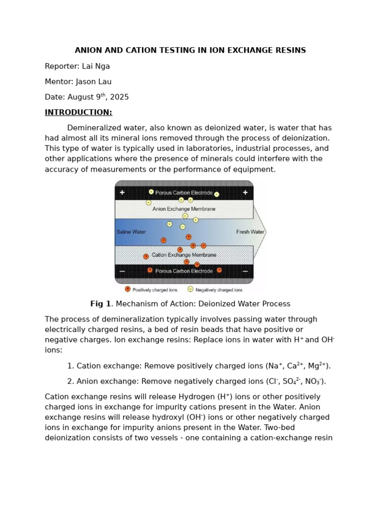 Ion Exchange Resin Testing Methods | PDF | Ion Exchange | Ion
