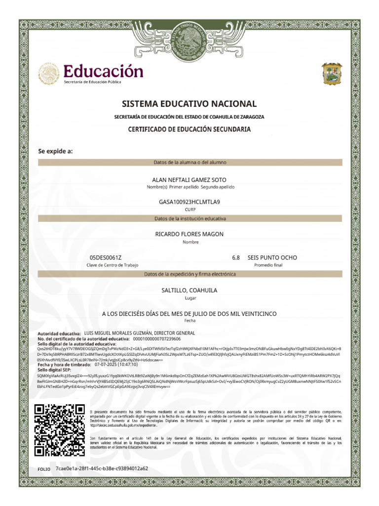 Certificado Alan | PDF