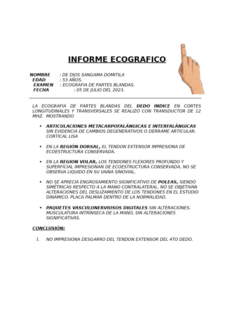 DEDO | PDF | Mano | Sistema musculoesquelético