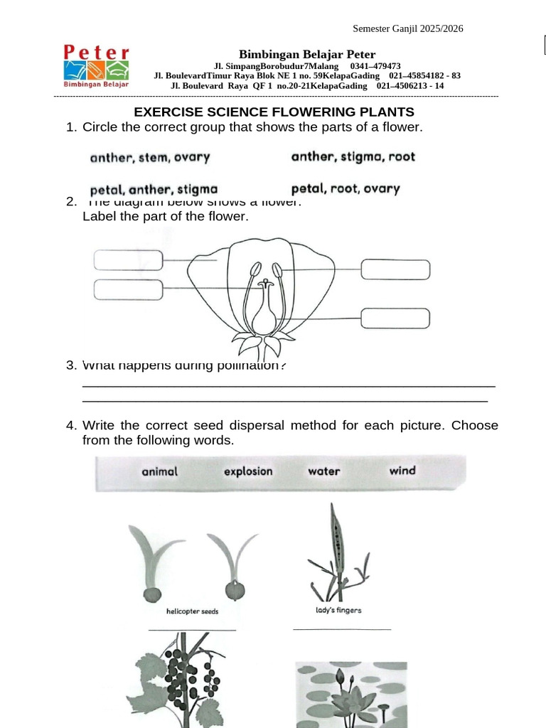 Exercise Science: Flowering Plants Guide | PDF