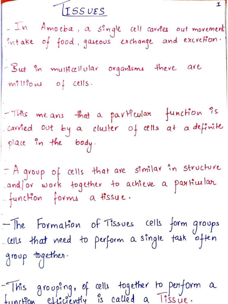 Tissues 1 | PDF