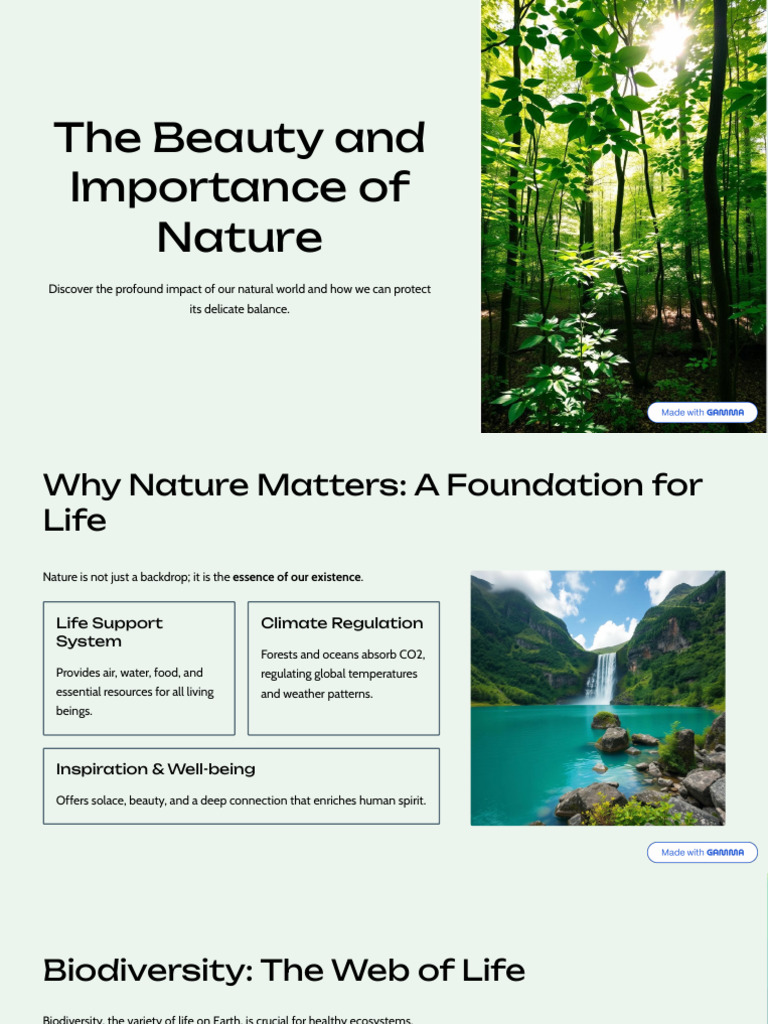 Importance of Nature and Its Beauty | PDF | Nature | Ecosystem