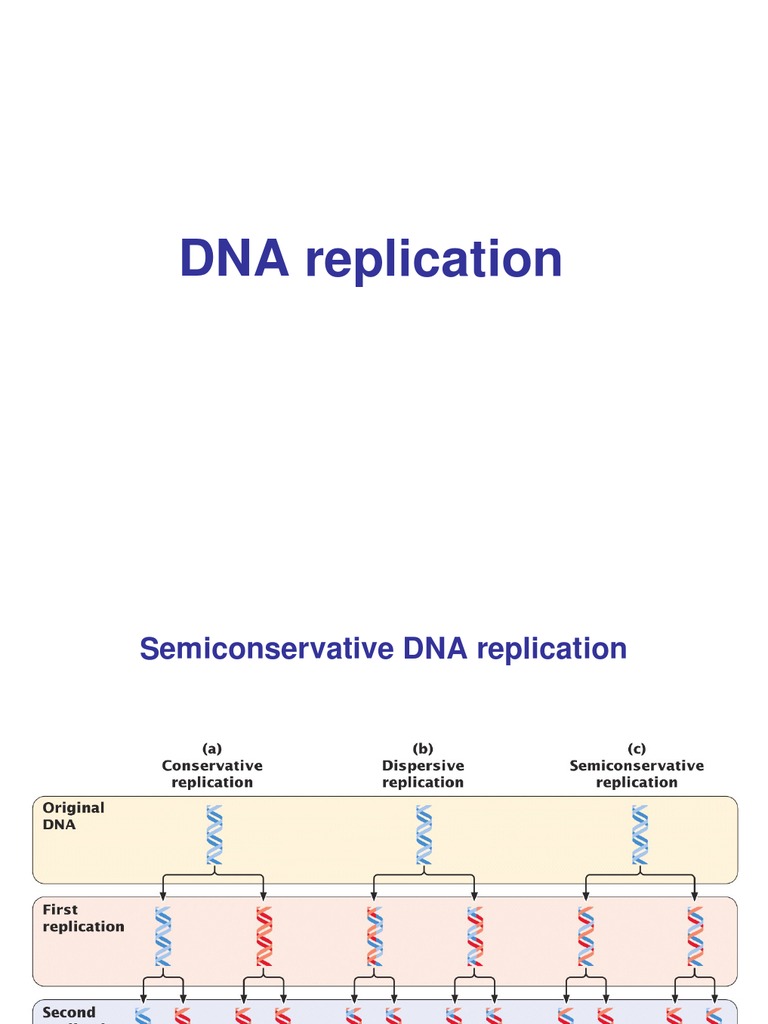 Replicacao | PDF | Dna Replication | Directionality (Molecular Biology)