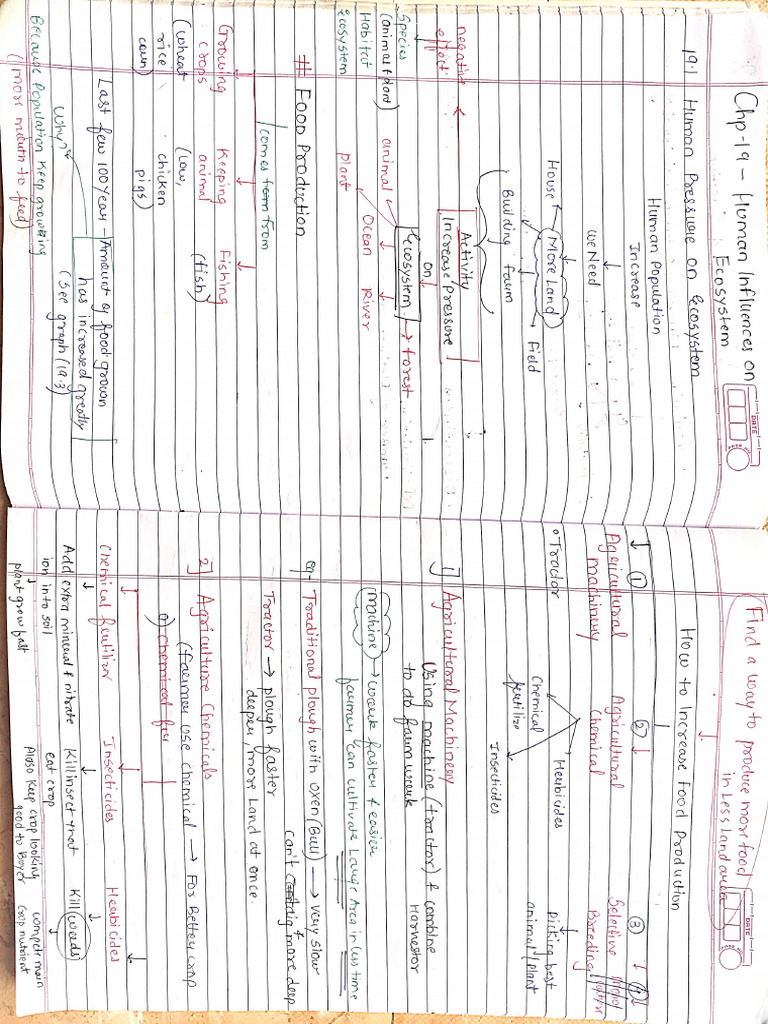 CHP-19 Human Influences on Ecosystem | PDF
