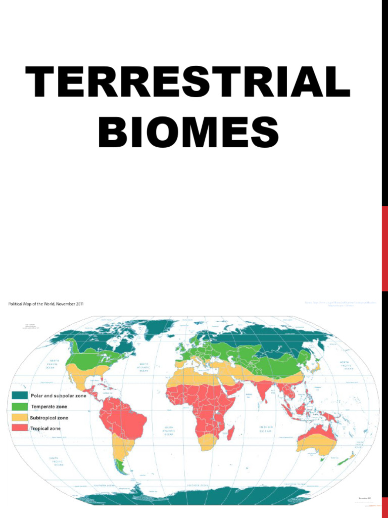 Explain Terrestrial Biomes | PDF | Forests | Grassland