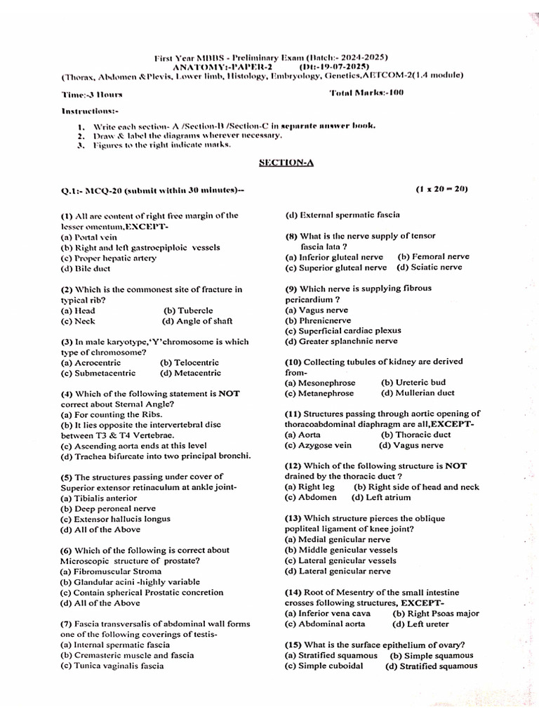 Anatomy Paper-2 With Key | PDF