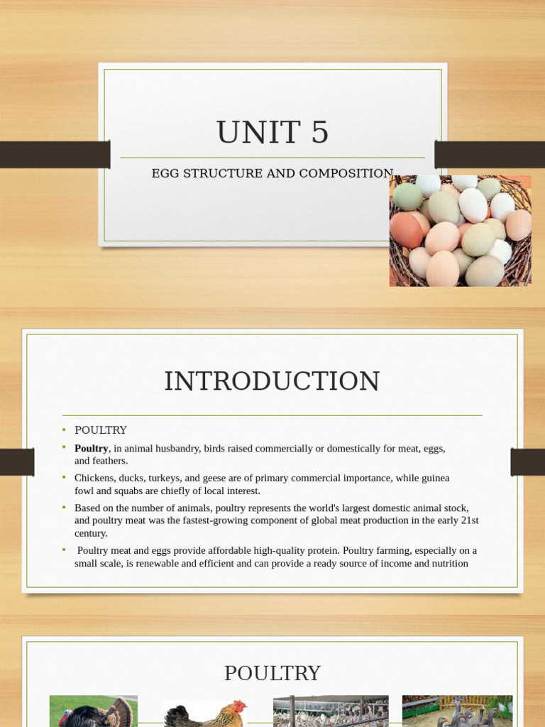 Eggs Structure and Composition | PDF | Yolk | Egg White