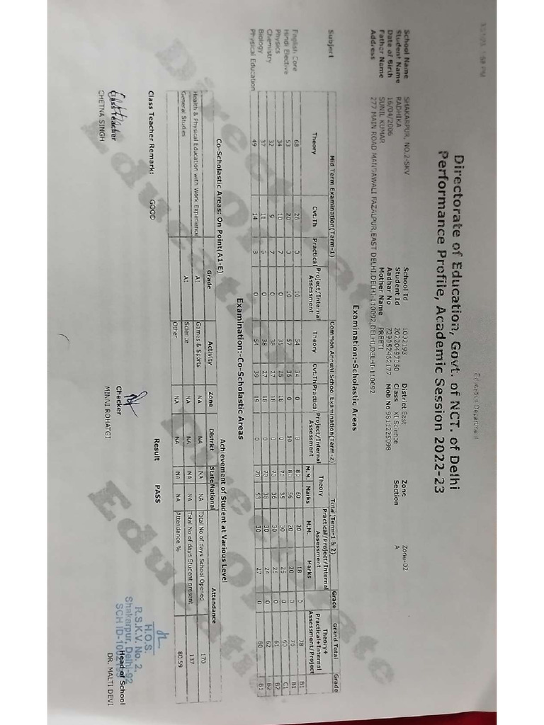 Class 11 Marksheet | PDF