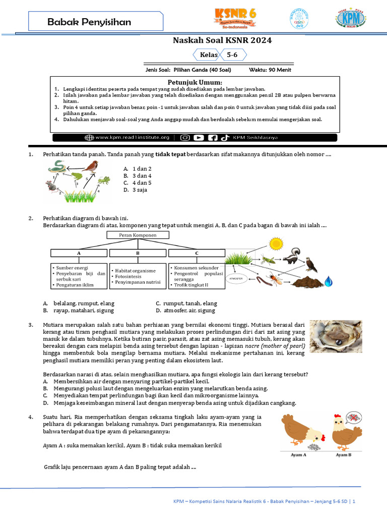Soal KSN-R Kelas 5-6 SD 2024 | PDF