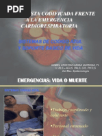 Guia de Codigo Azul | PDF | Reanimación cardiopulmonar | Enfermería