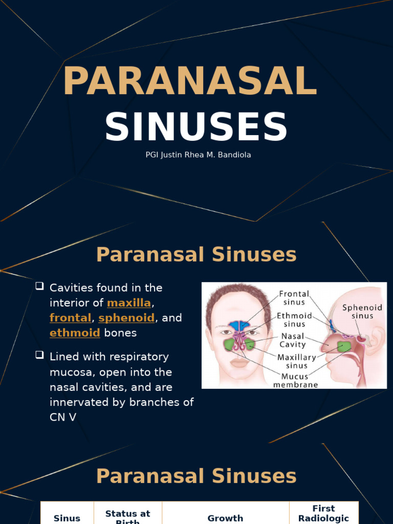 Paranasal Sinuses Bandiola | PDF | Primate Anatomy | Human Anatomy