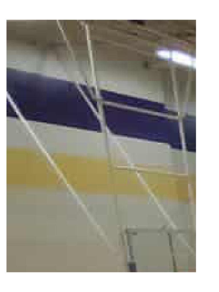 Tarpapel Print | PDF