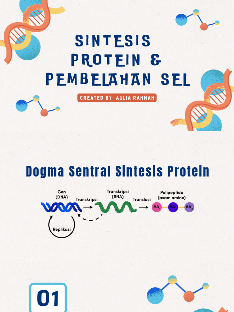 Sintesis Protein dan Pembelahan Sel | PDF