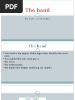 Hand X-Ray Anatomy and Injury Assessment | PDF | Hand | Thumb