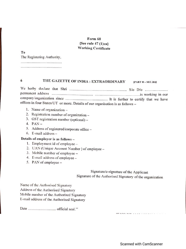Form 60 New Format | PDF