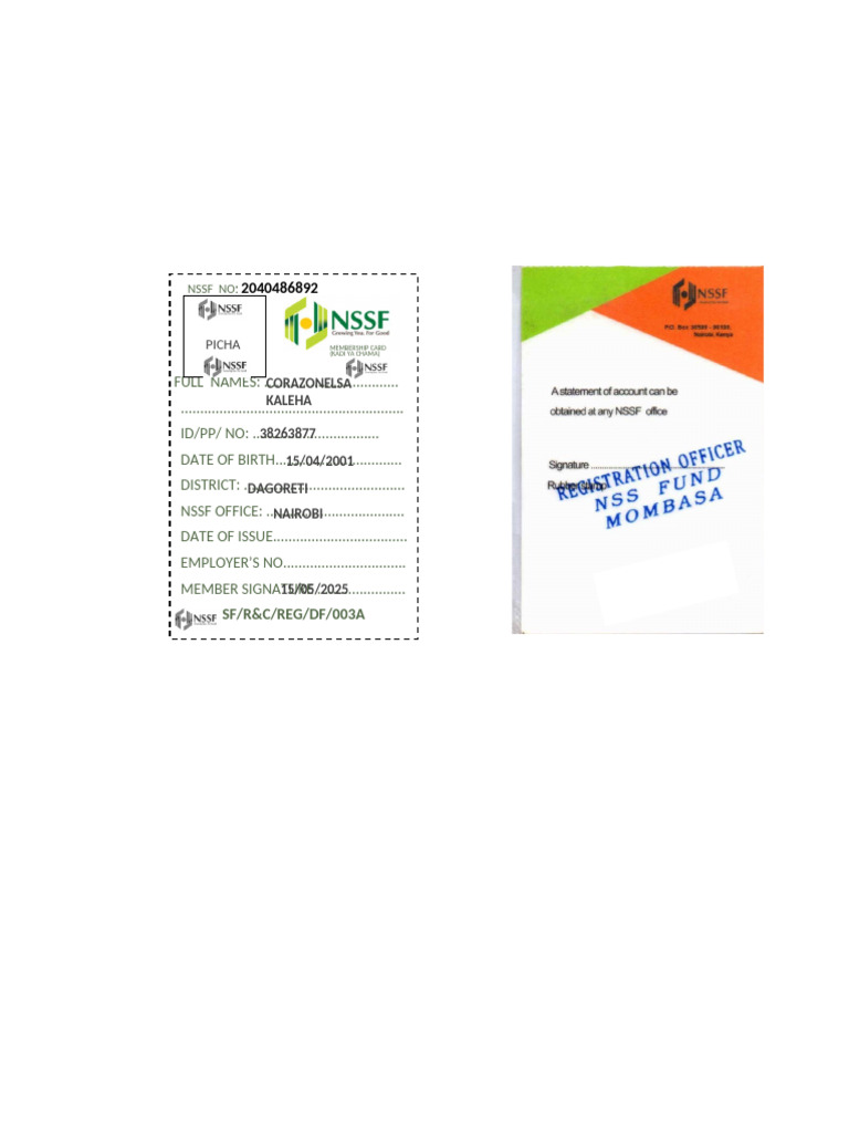 NSSF Template | PDF