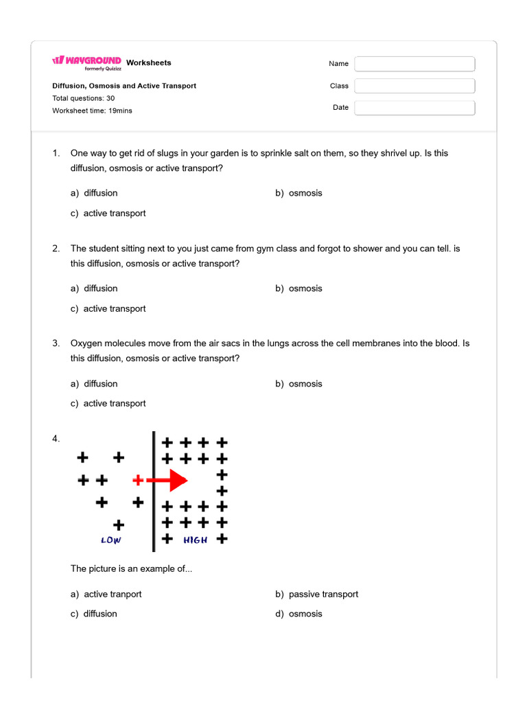 Diffusion, Osmosis, and Transport Worksheet | PDF | Osmosis | Diffusion