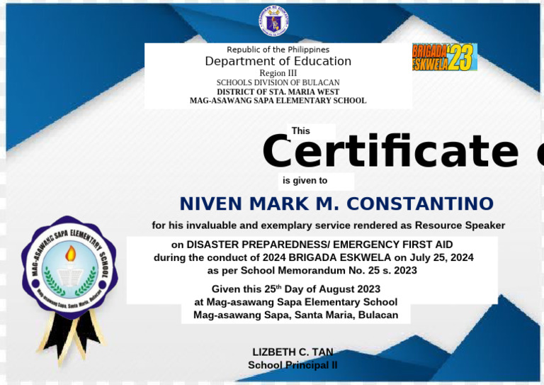Disaster Certificate | PDF