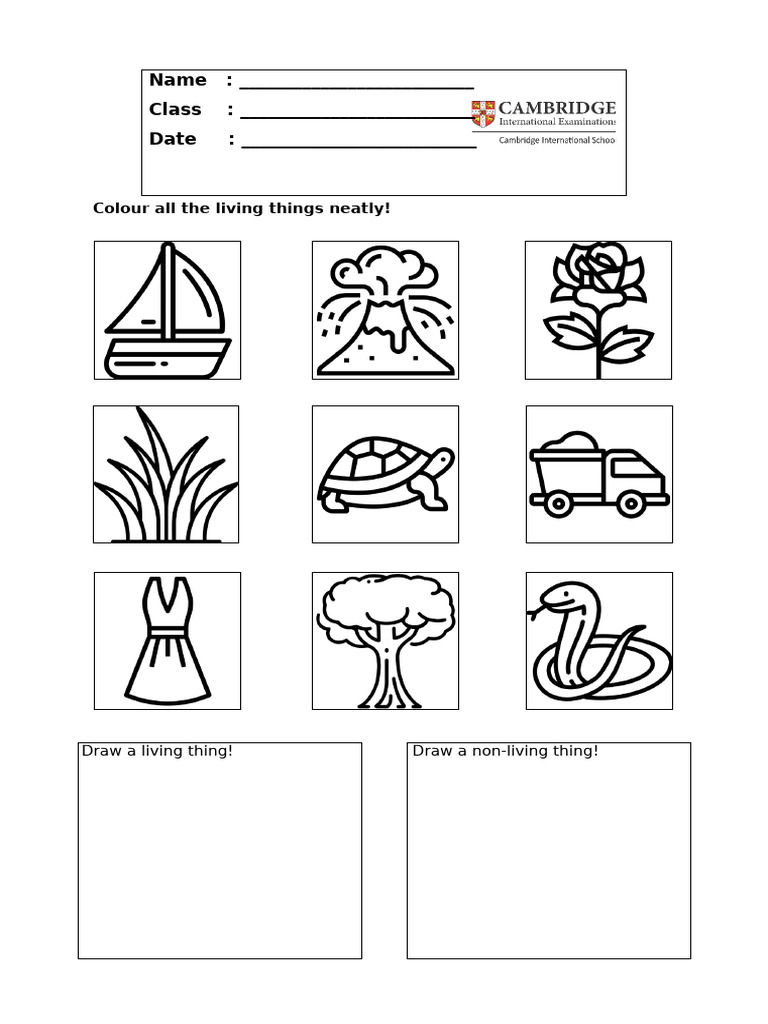 Living vs Non-Living Things Activity | PDF