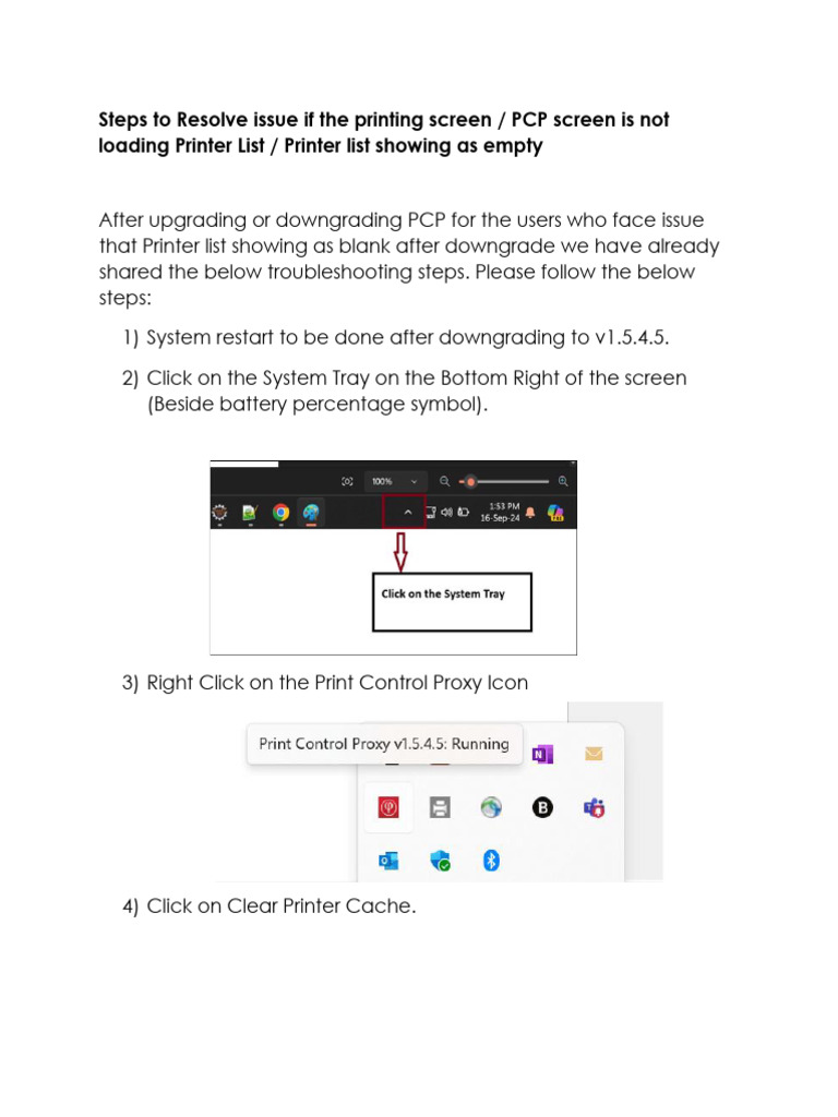 Steps To Resolve Empty Printer Tray | PDF
