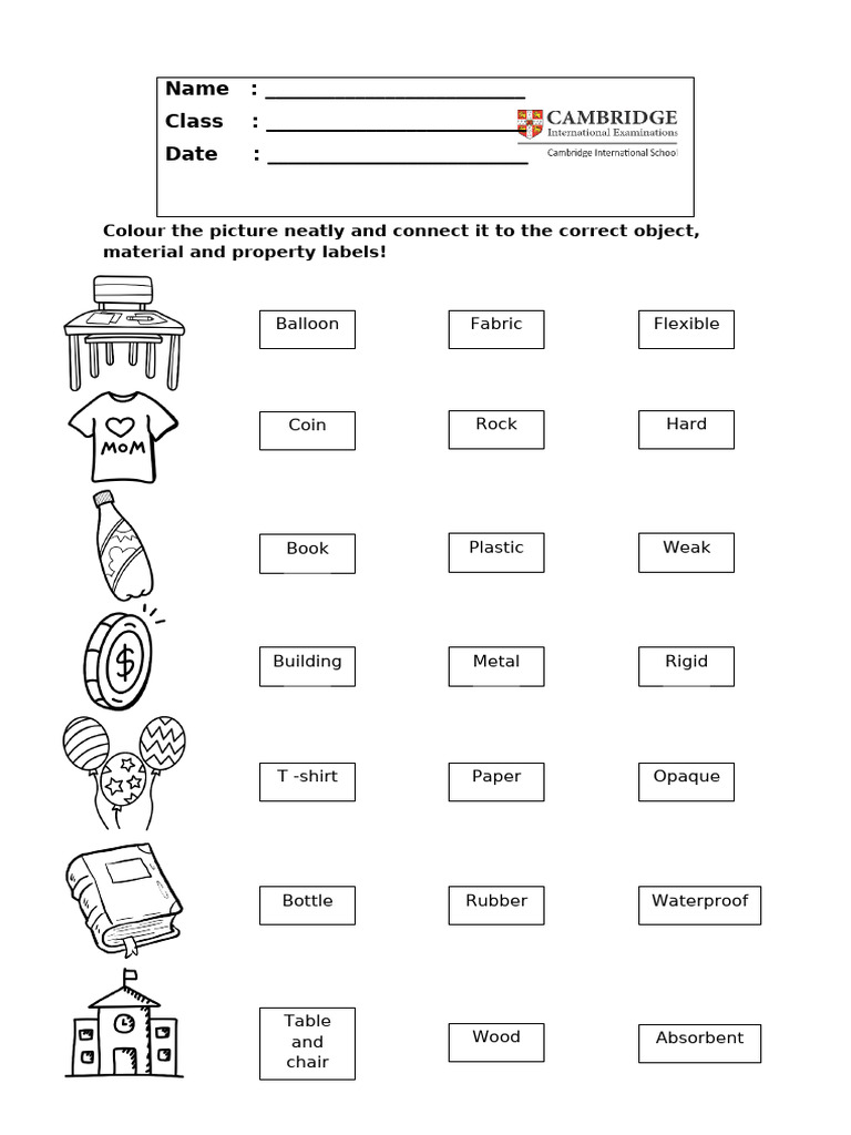 Year 5 Materials Properties Activity | PDF