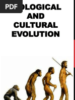 Human Evolution Chart | PDF | Homo | Human Evolution