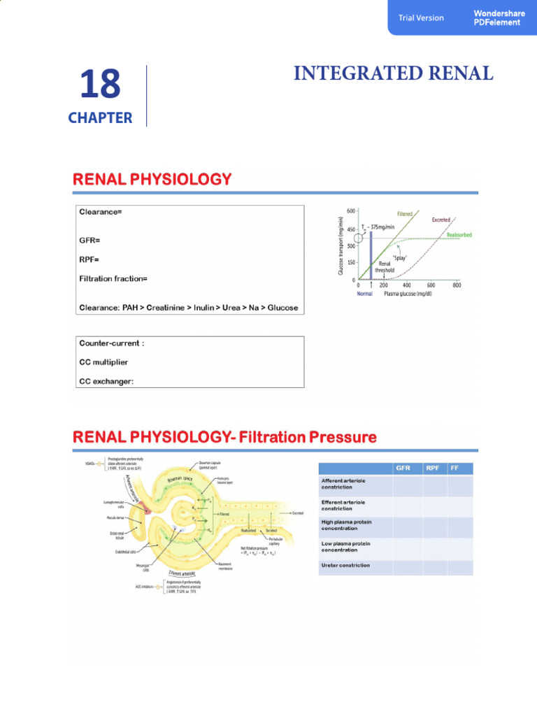 Renal | PDF