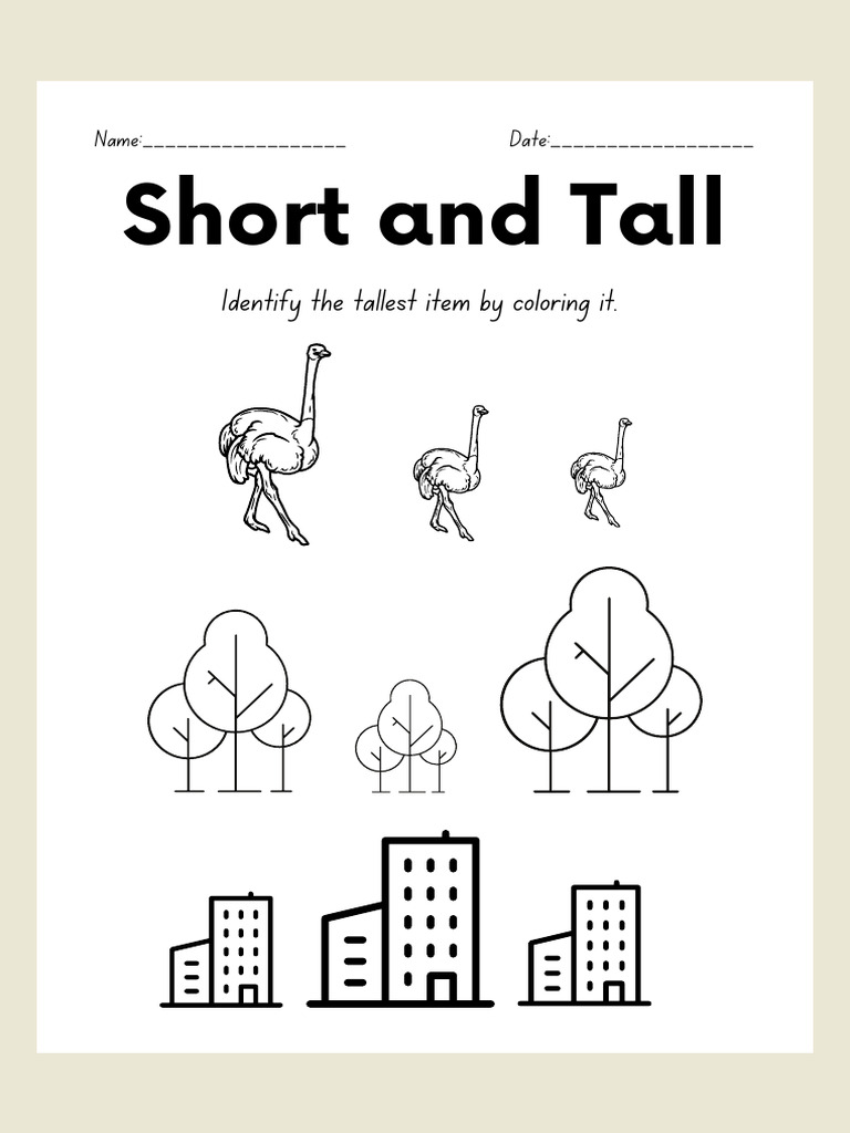 Tall and Short Coloring Worksheet | PDF