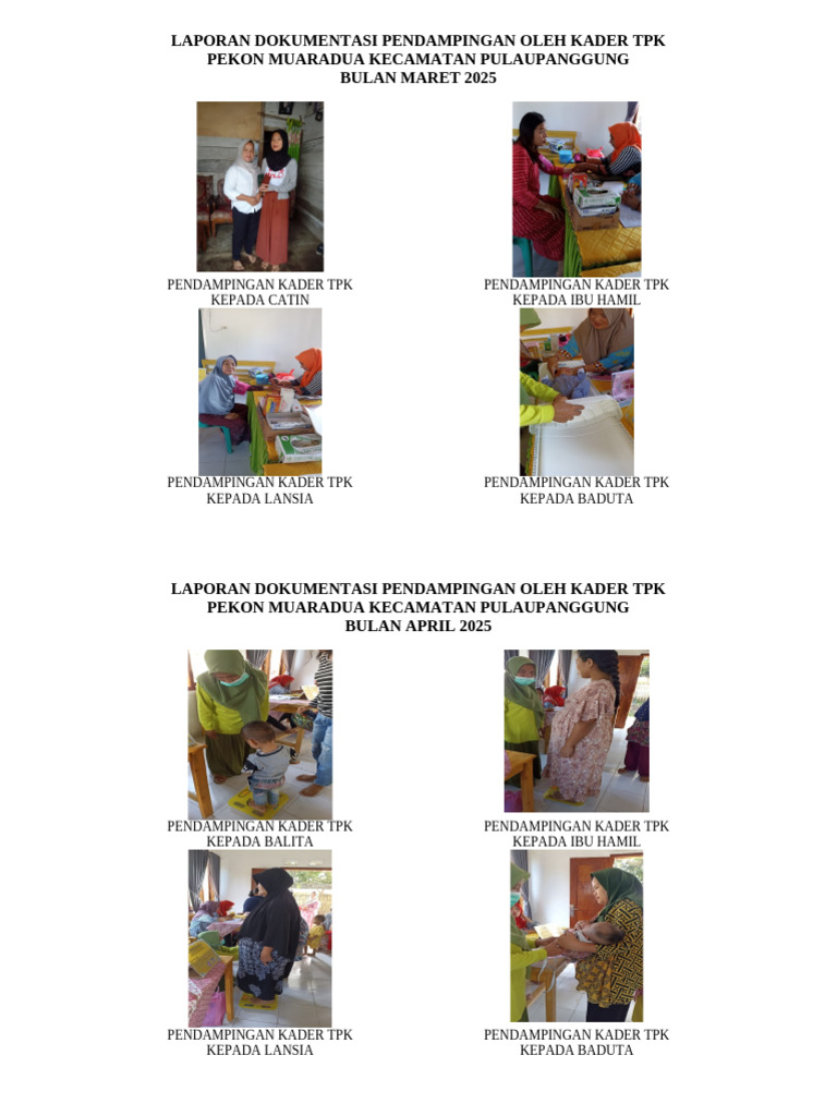 Laporan Dokumentasi Pendampingan Oleh Kader Tpk Muaradua | PDF