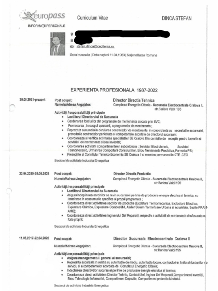 Dinca CV | PDF
