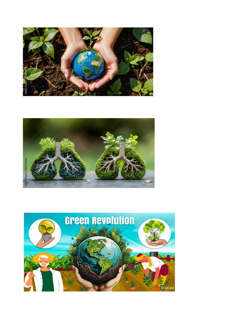 Green Revolution | PDF